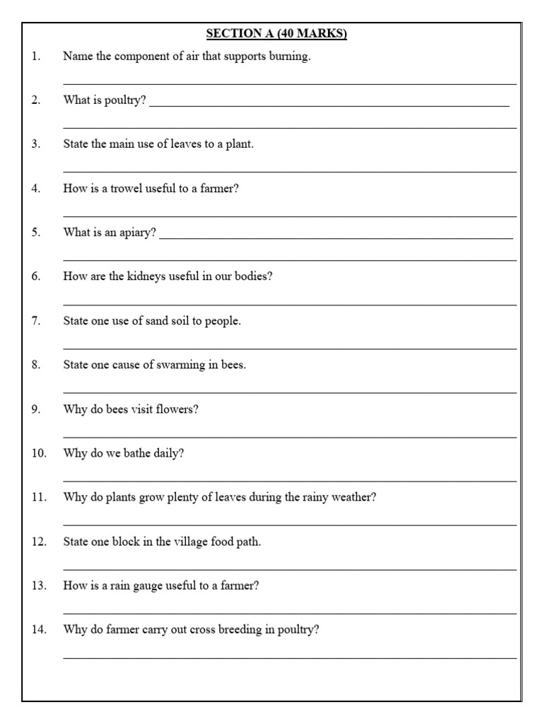 P.5 Science Revision Questions | PDF | Foods | Bees