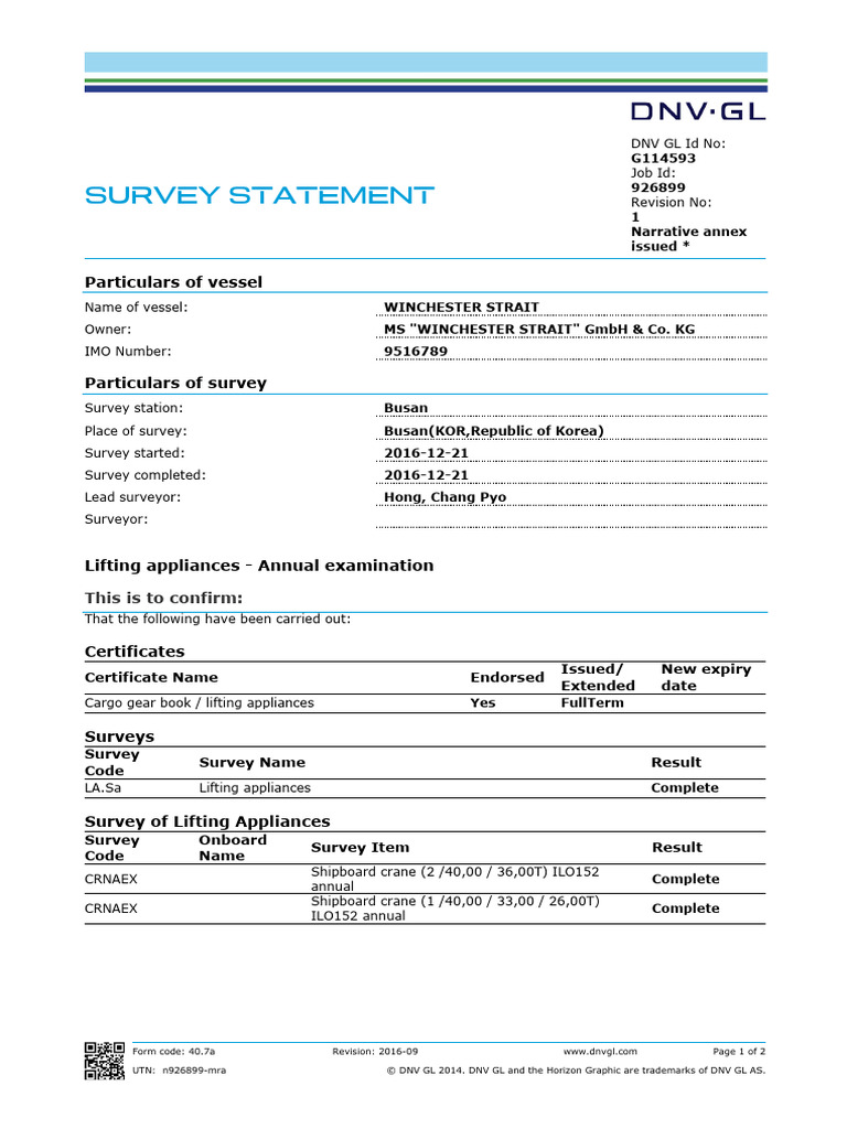G114593 - Survey Statement - Lifting Appliances - Annual Examination ...