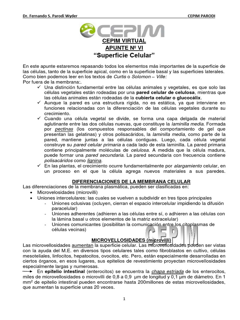 Apunte 6 Biologia Cepim | PDF | Adhesión celular | Colágeno