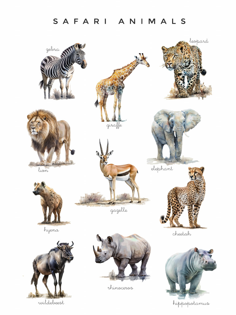 Animal Posters A4 | PDF