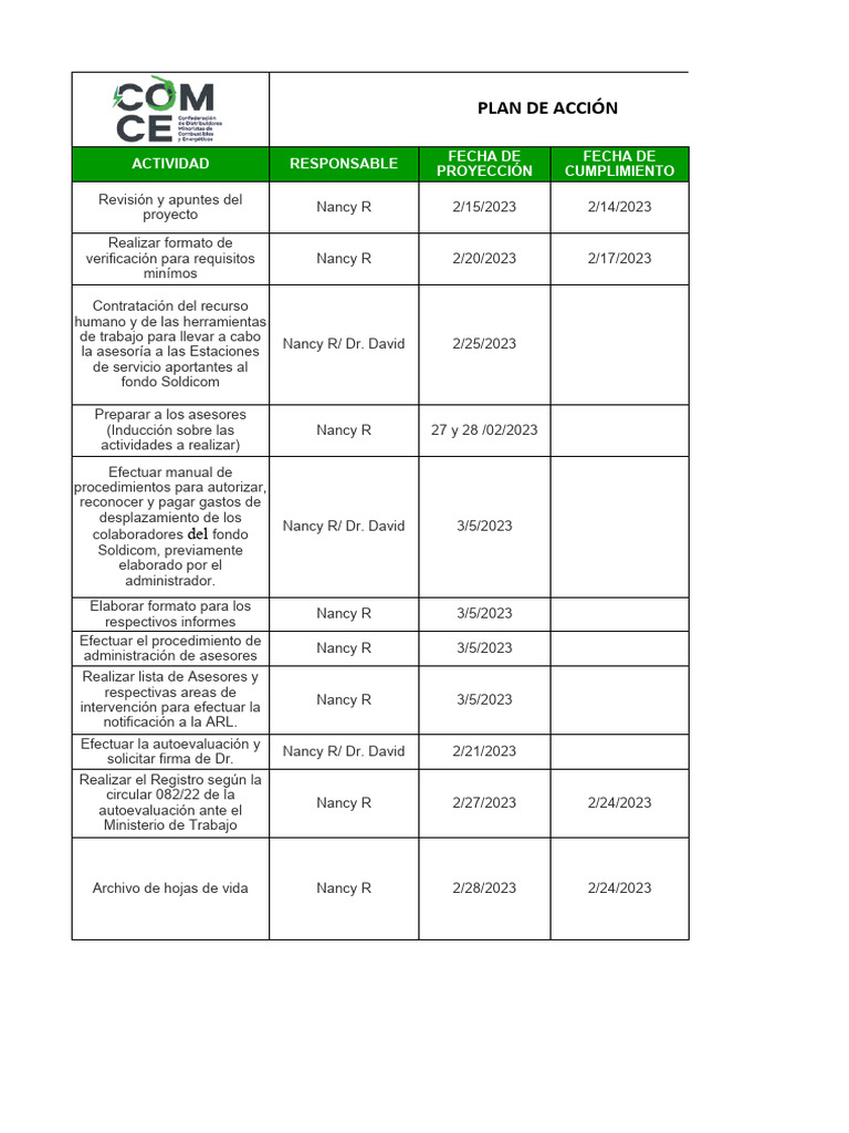 Plan de Acción | PDF | Presupuesto