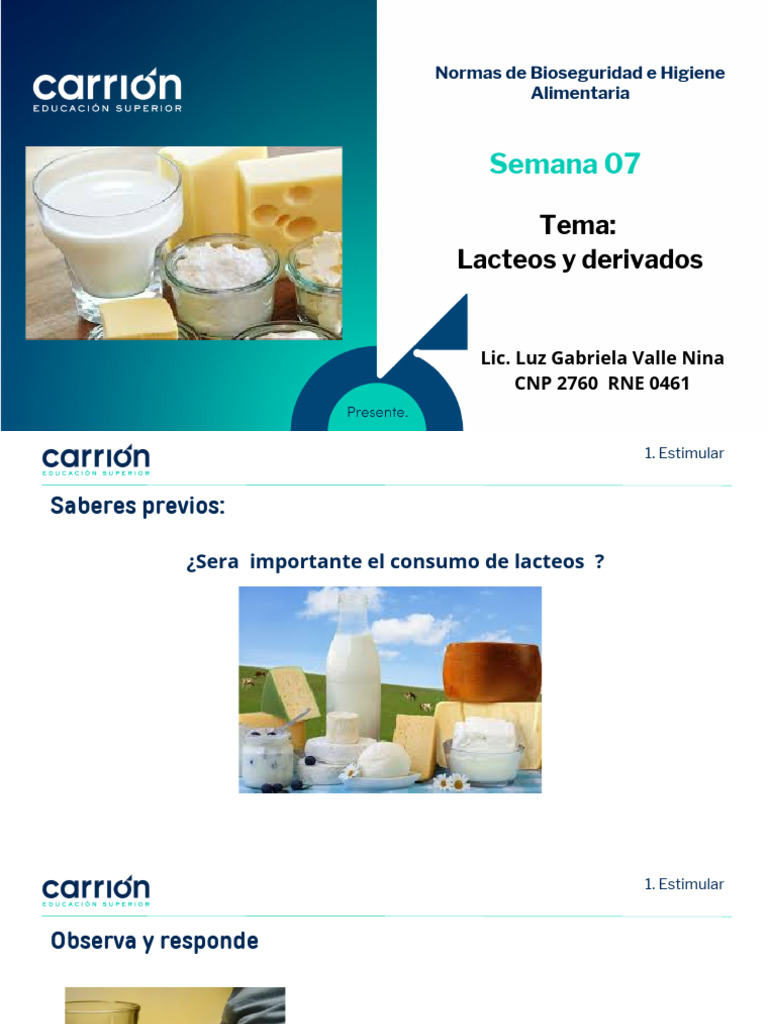 Lacteos | PDF | Leche | Queso