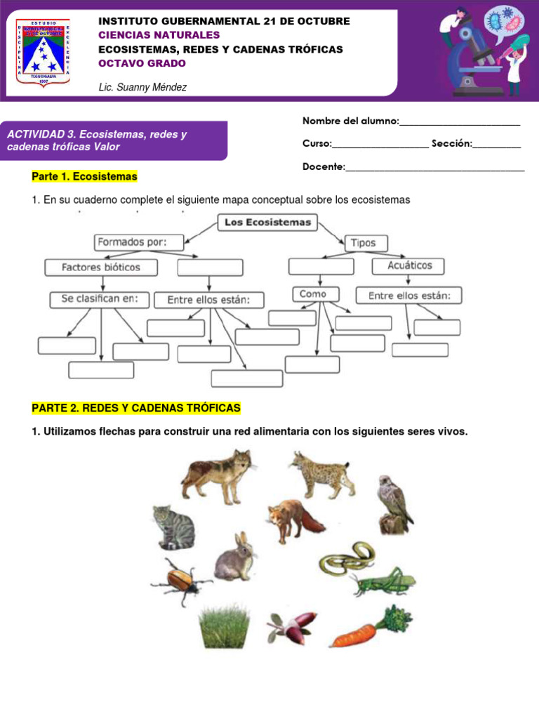 Actividad 3 Ecosistemas, Redes y Cadenas Tróficas - 240401 - 192645 ...