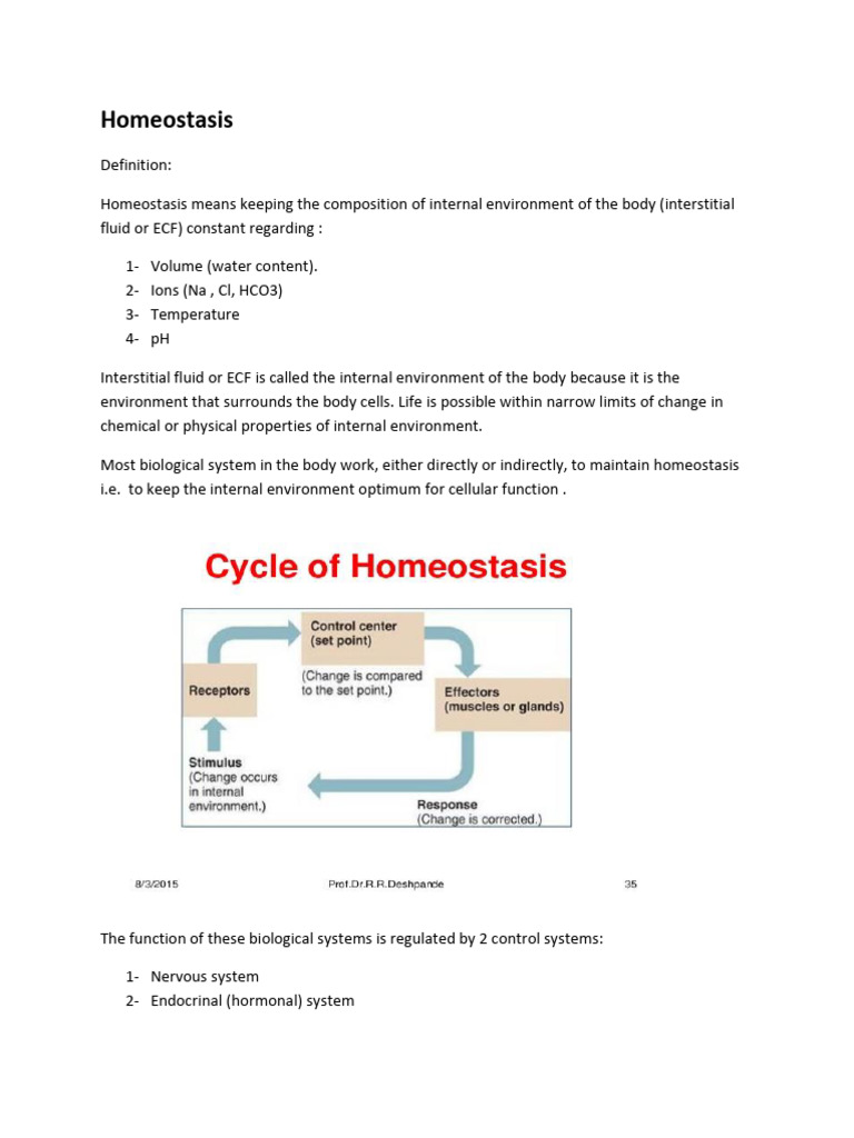 Understanding Homeostasis and Feedback Mechanisms | PDF | Self-Improvement
