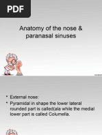 Anatomy of the Osteomeatal Complex | PDF | Human Nose | Human Head And Neck