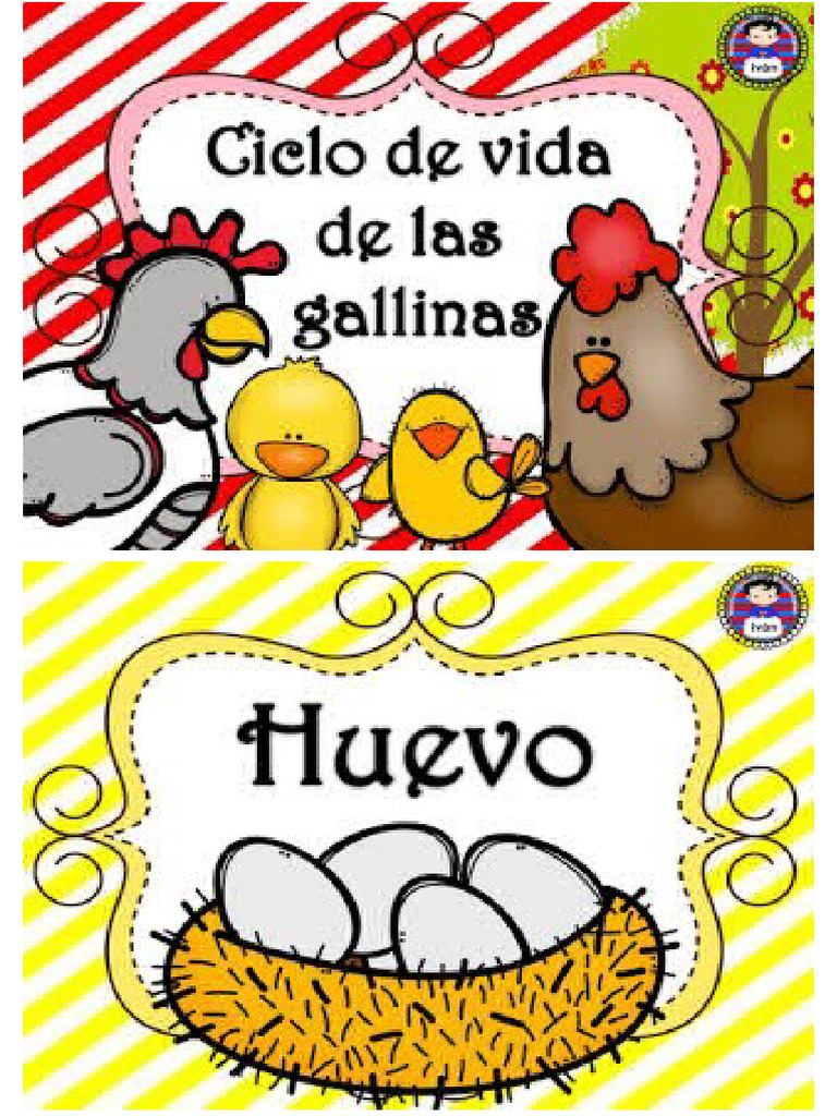 Ciclo de vida de la gallina | PDF
