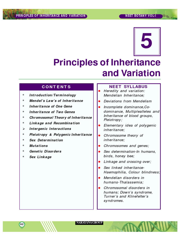 Principles of Inheritance and Variation (62-136) | PDF | Dominance (Genetics) | Allele