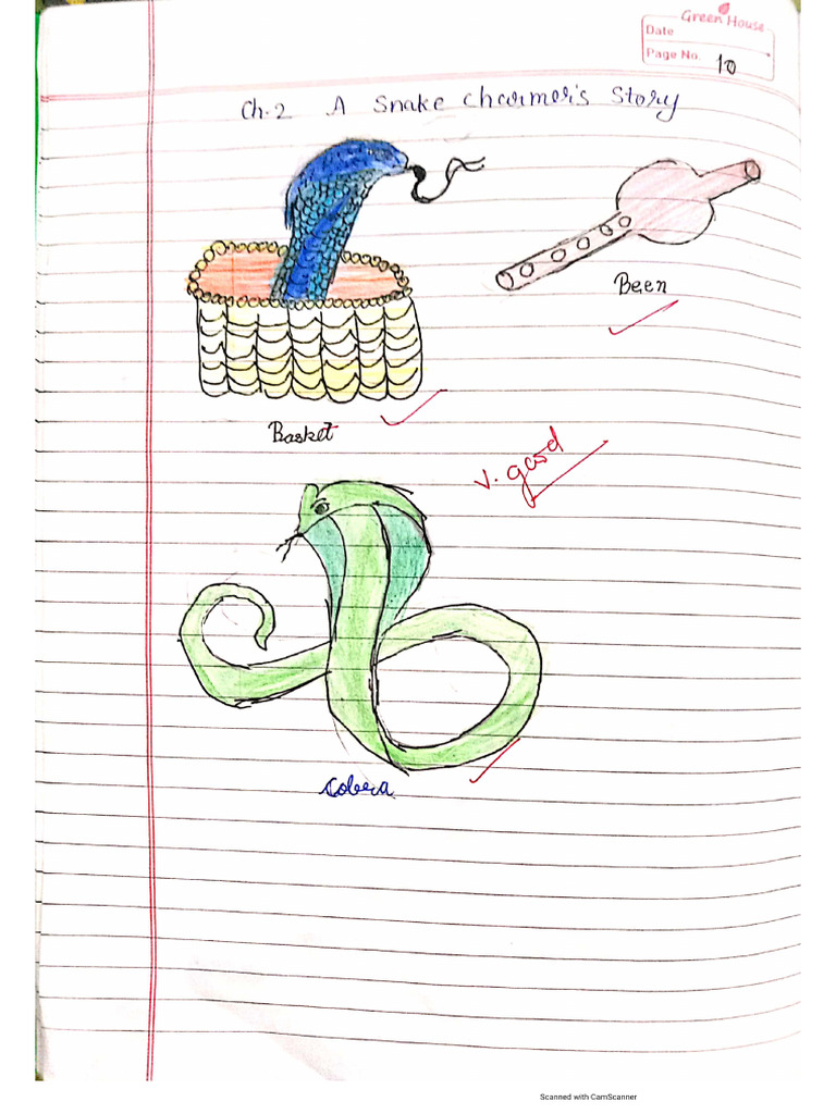 EVS ch-2 A Snake Charmer's Story | PDF