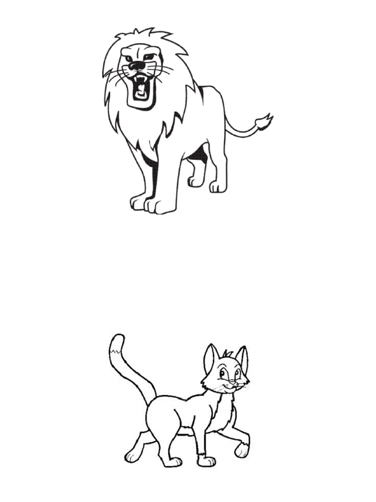 Cat Lion | PDF