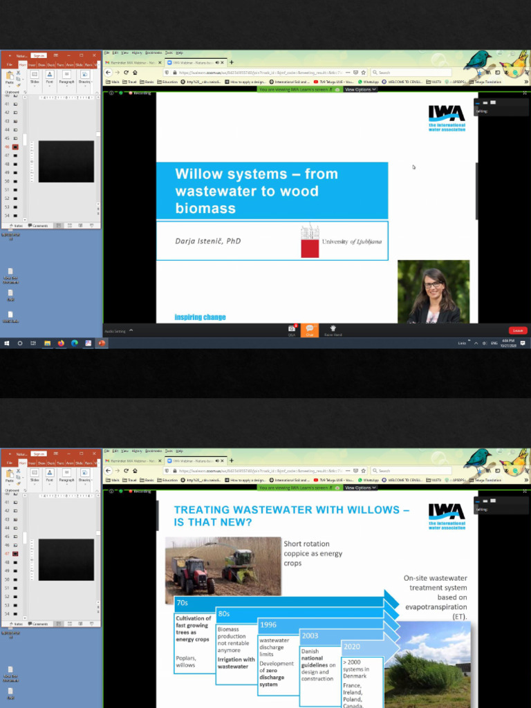 Willow System From Waste Water Treatment To Wood Biomass | PDF