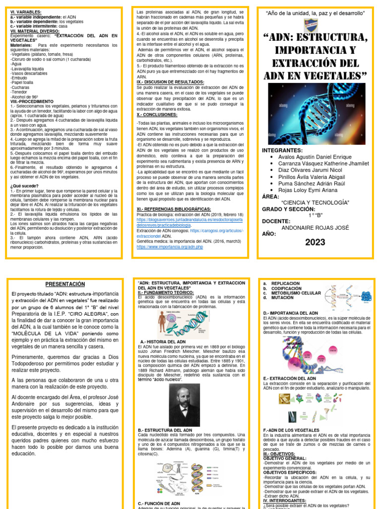 Triptico de Los Vegetales2023 | PDF | Adn | Biología Celular)