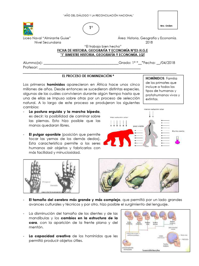 Ficha #03 Proceso de Hominización, Paleolítico y Neolítico | PDF | Homo ...