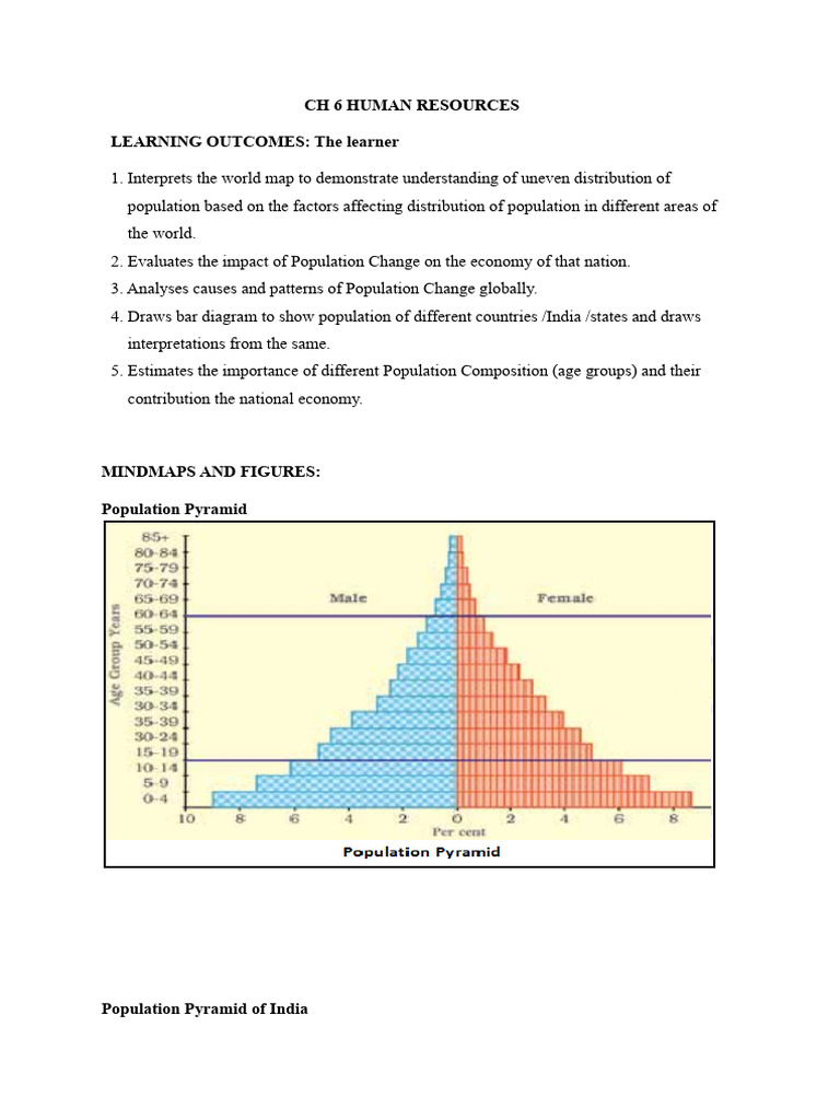 Understanding Global Population Dynamics | PDF | Mortality Rate | Human ...