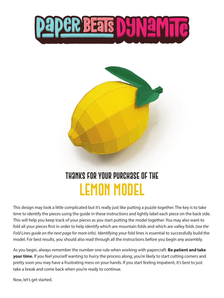 Instructions Lemon | PDF | Adhesive | Joining