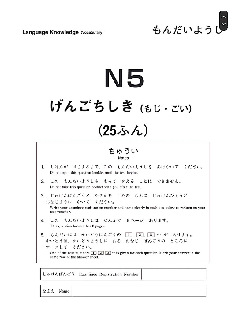 n5 Practice Set | PDF