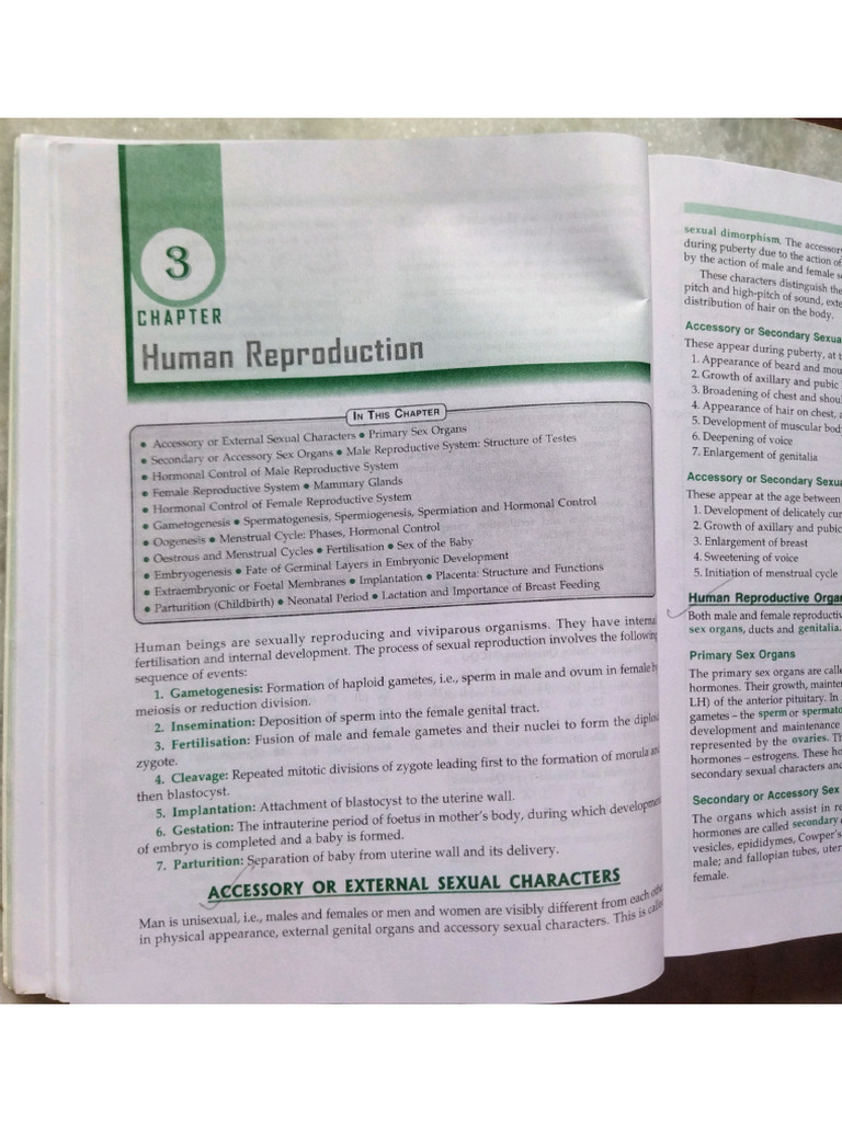 Human Reproduction | PDF
