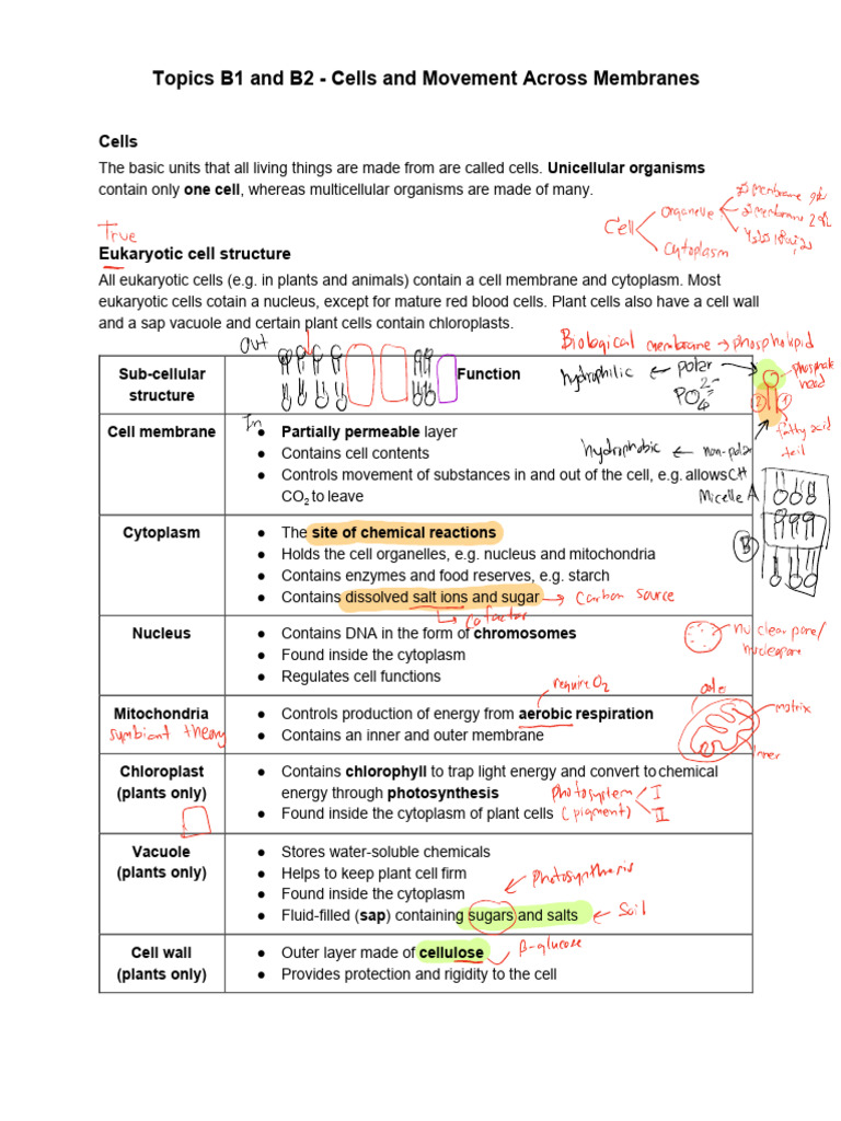 Biology Part 1-1 | PDF | Dominance (Genetics) | Genotype