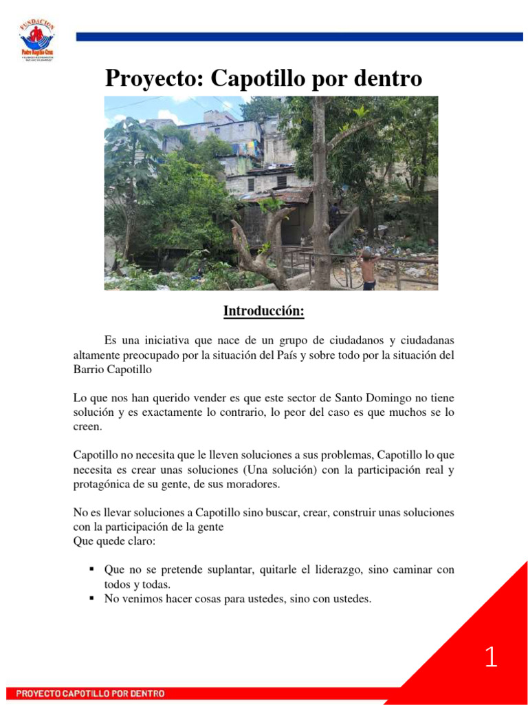 CAPOTILLO AL REVES, CAPOTILLO PUEDE | Descargar gratis PDF | Residuos