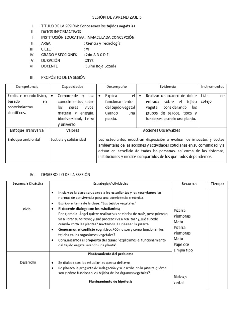 Sesión de Aprendizaje 5 | PDF | Aprendizaje | Plantas