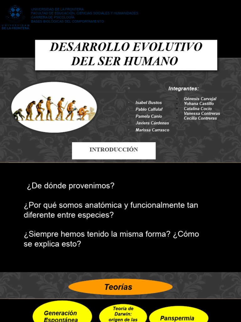 Desarrollo Evolutivo Del Ser Humano 2 | PDF | Homo | Evolución humana