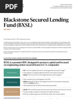 BXPE Lux Fact-Card - January 2025 | PDF | Investment Fund | Investing