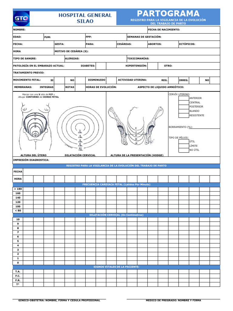 PARTOGRAMA | Descargar gratis PDF | Parto | El embarazo