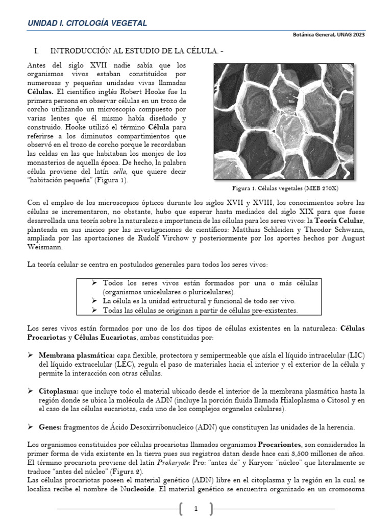 BOTÁNICA GENERAL. Compilación I Unidad Citología | PDF | Biología ...