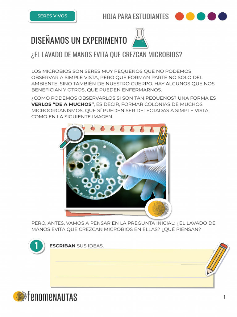 Efecto del Lavado de Manos en Microbios | PDF | Agua | Lavado de manos