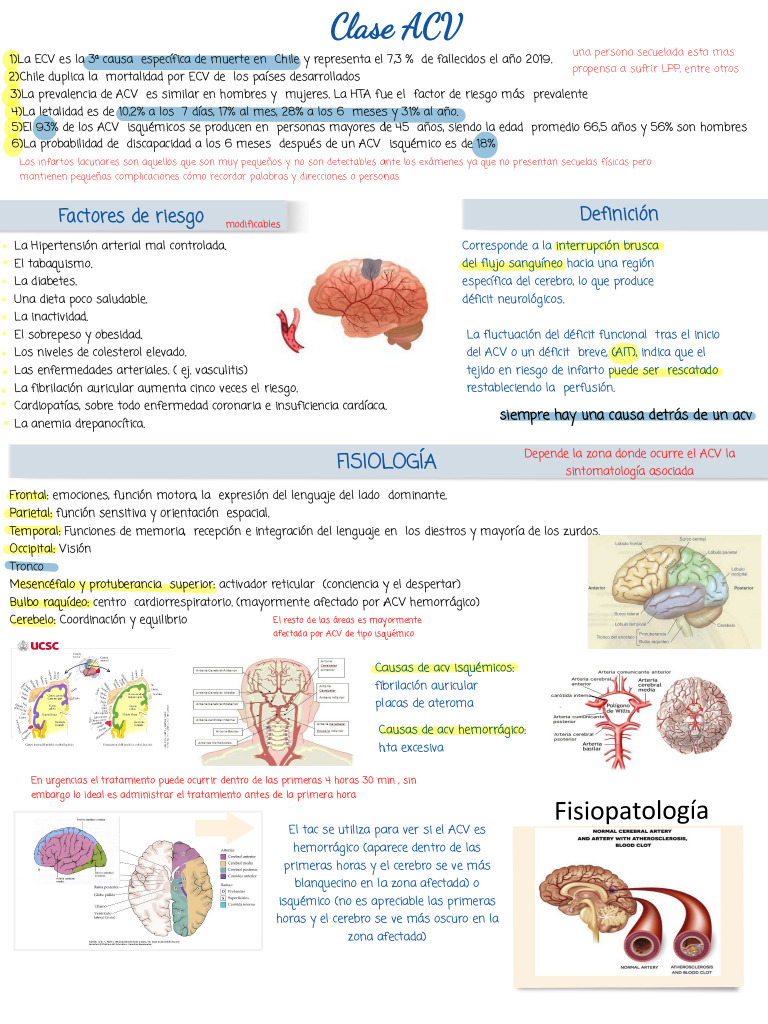 Acv | PDF