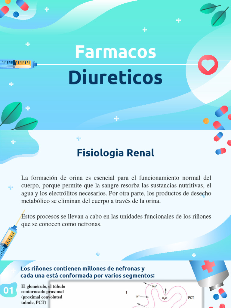 Diuréticos: Mecanismos y Clasificación | PDF | Riñón | Orina