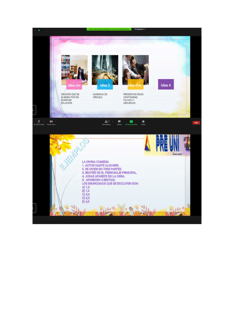 camila Pazo Amaya | PDF