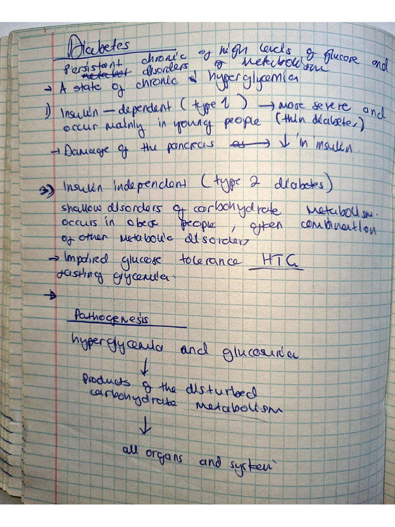 Diabetes Notes From The Man Himself | PDF
