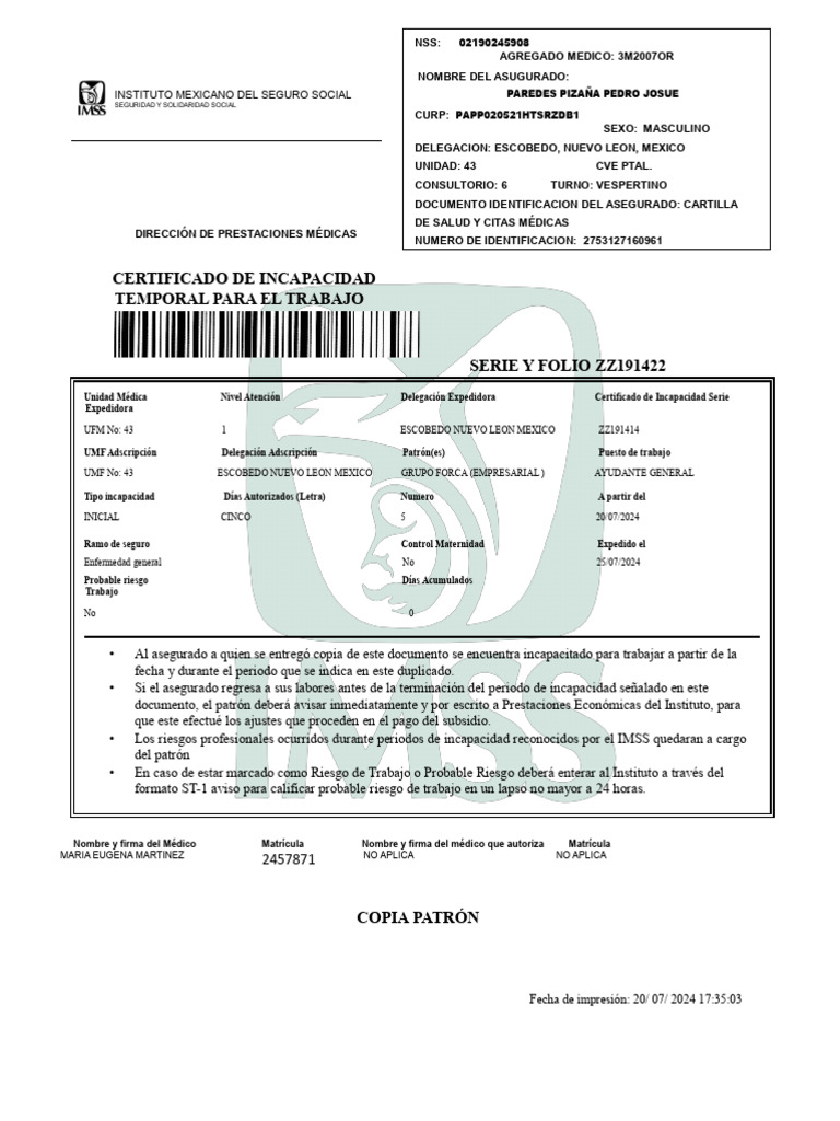 Incapacidad Imss Editable Temporal Word | PDF