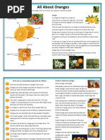 History and Culture of Oranges | PDF