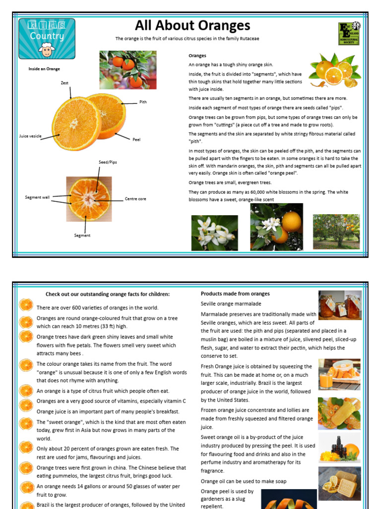 Orange Information Sheets | PDF | Orange (Fruit) | Juice
