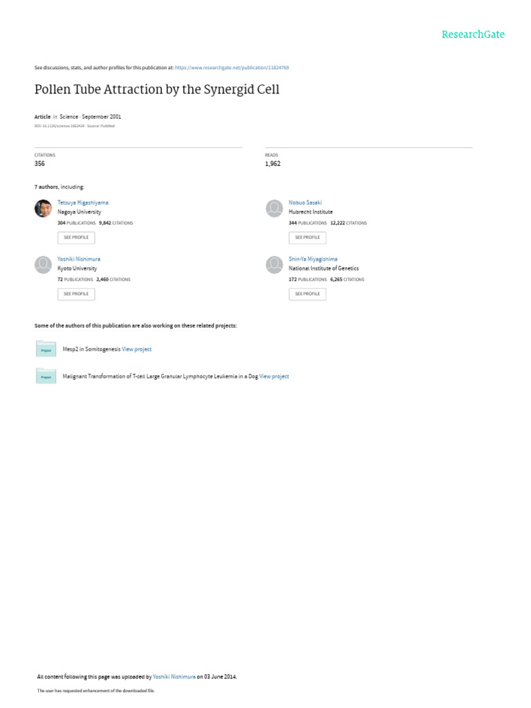 Synergid Cells Attract Pollen Grains | PDF | Fertilisation | Plants