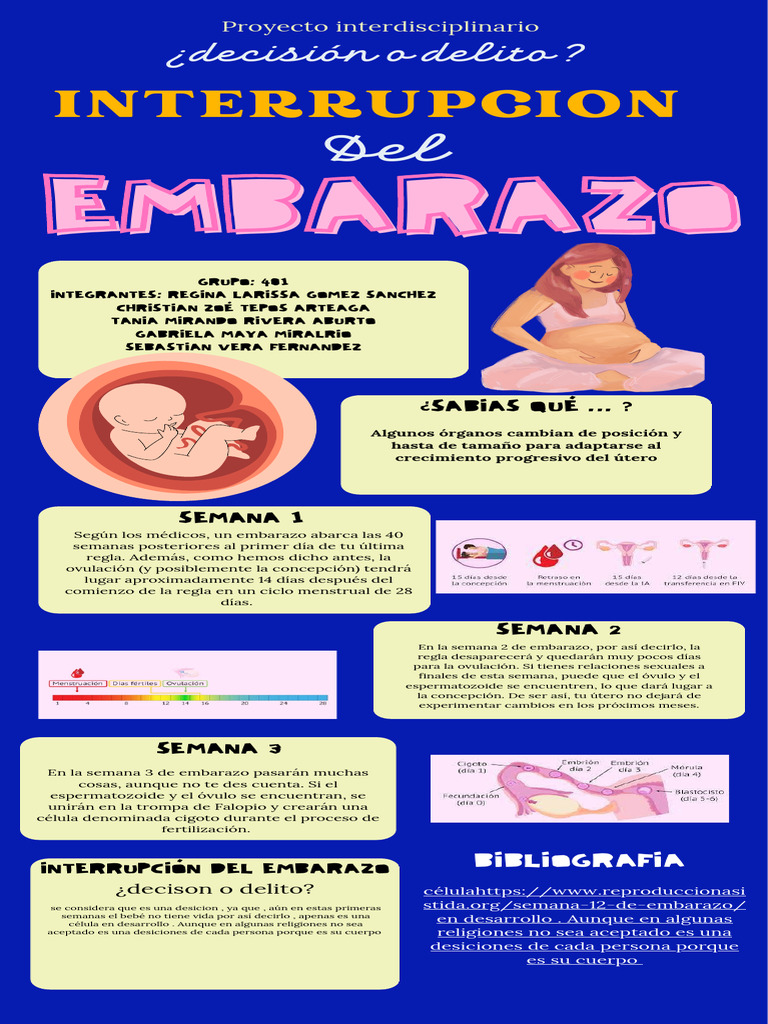 Infografia Interrupción Del Embarazo | PDF | El embarazo | Sistema reproductivo