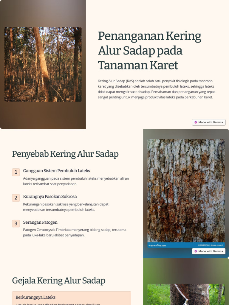 Penanganan Kering Alur Sadap Pada Tanaman Karet | PDF | Teknologi ...