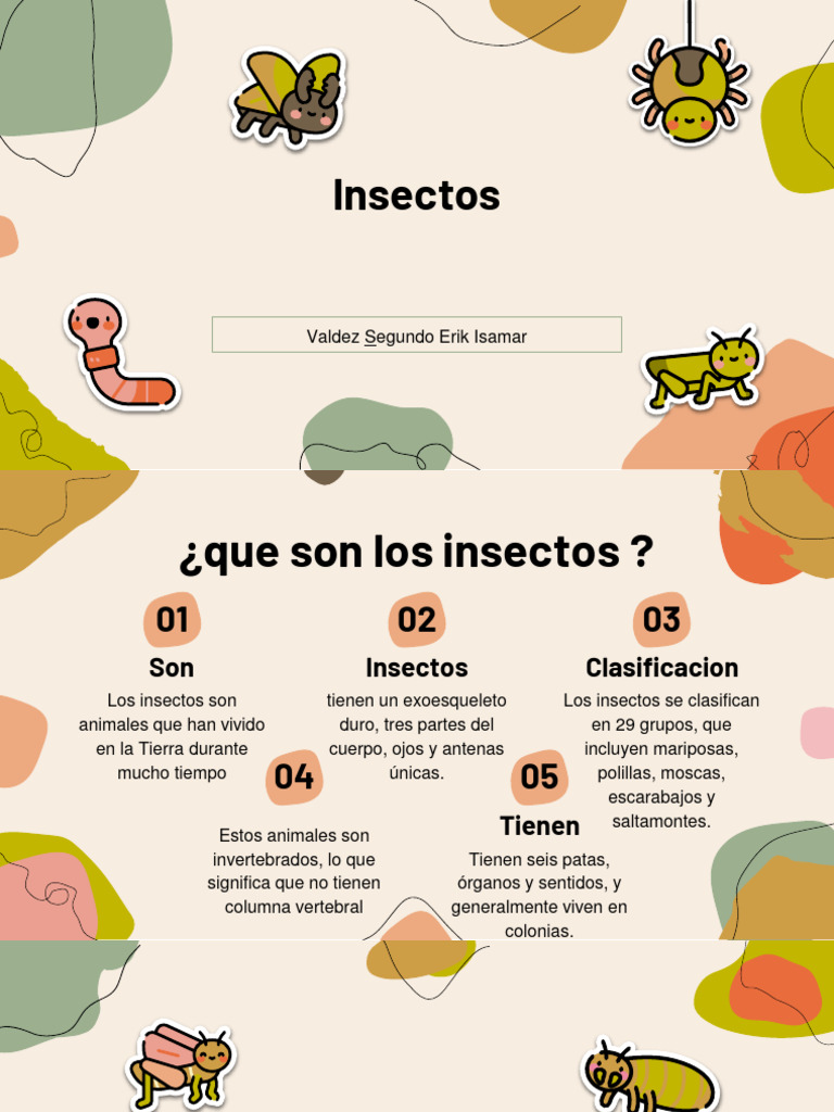 Insectos: Clasificación y Anatomía | PDF | Insectos | Mosca