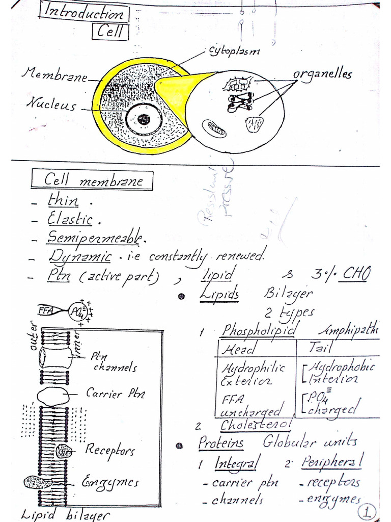 Introduction - Diagrams | PDF