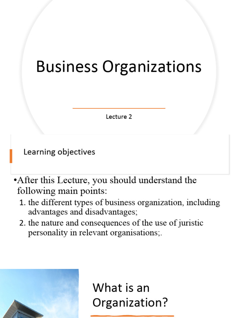 Lecture 2 Business Organizations. | PDF | Partnership | Sole Proprietorship