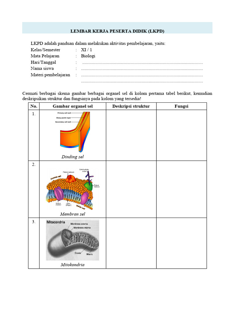LKPD 1 Struktur Dan Fungsi Sel | PDF