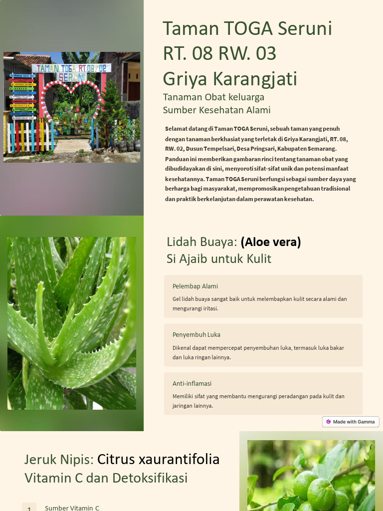 Taman TOGA Seruni Sumber Kesehatan Alami | PDF | Sains & Matematika