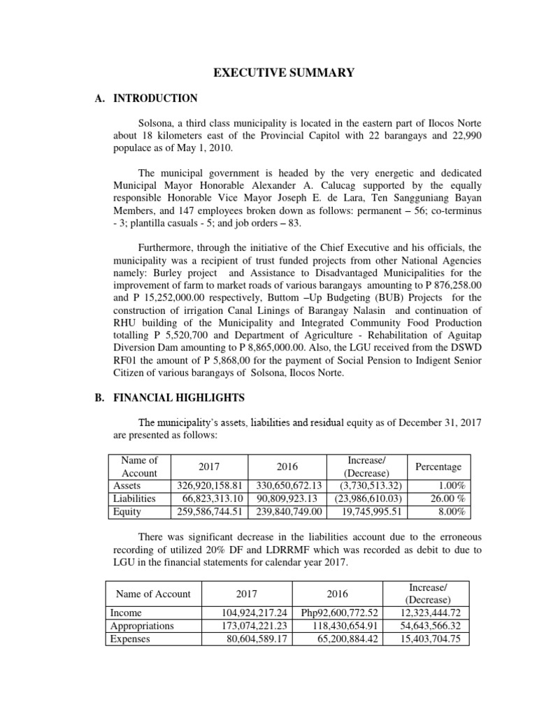 Solsona Executive Summary 2017 | PDF | Audit | Expense