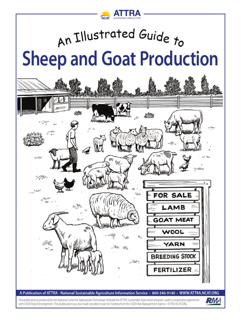 Sheep and Goat Production Guide | PDF | Sheep | Goat