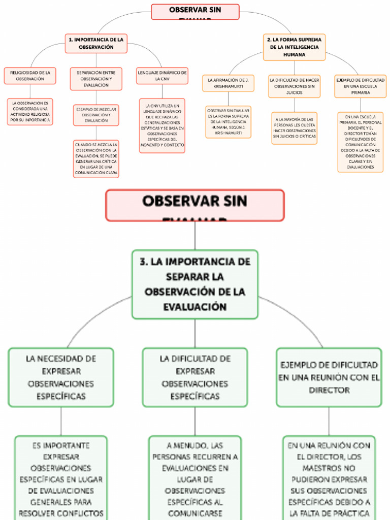 Observar Sin Evaluar | PDF