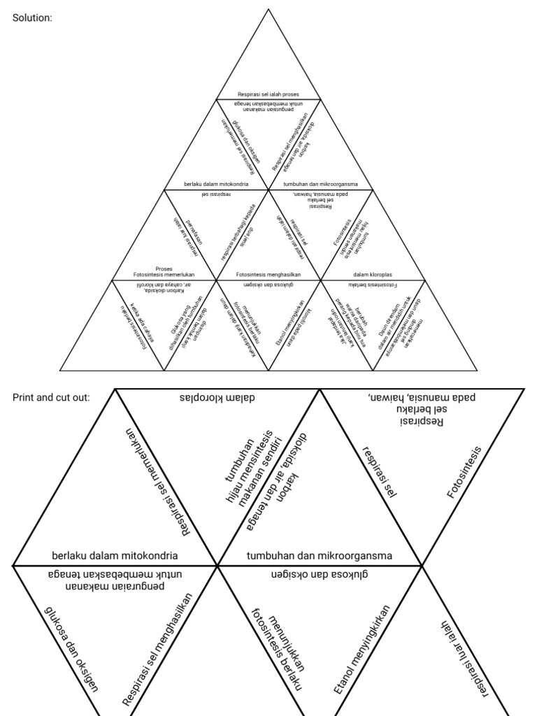 Homeostasis Tarsia Puzzle | PDF