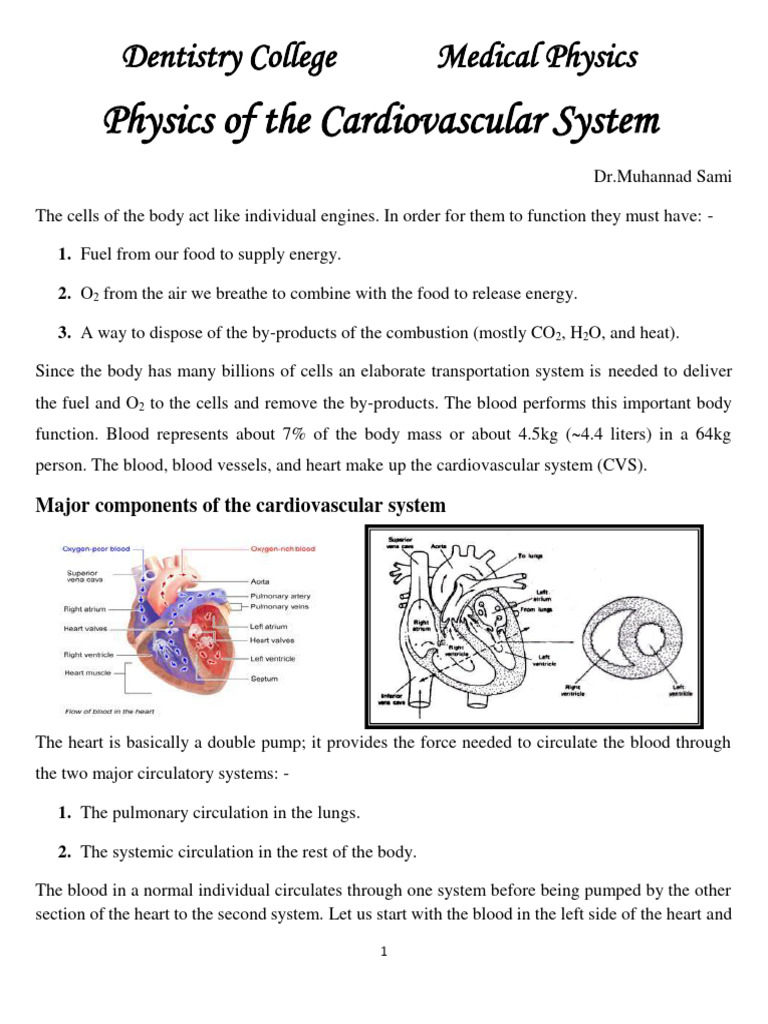 Physics of The Cardiovascular System: Dentistry College Medical Physics ...