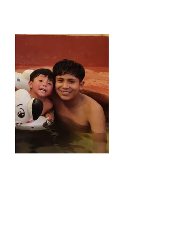 Documento (2) (3) | PDF