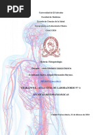Preparación de Muestras en Formol | PDF | Biopsia | Formaldehído